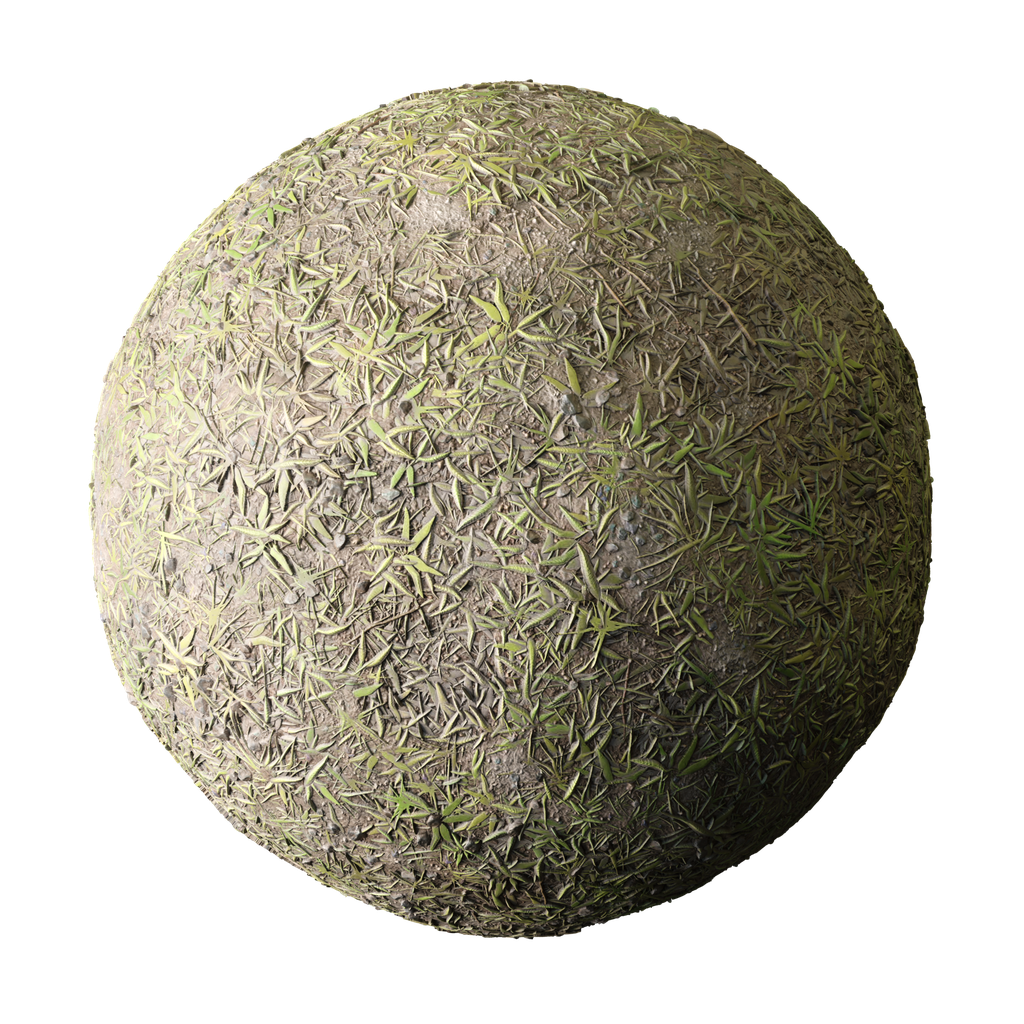 Grass Texture | FREE grass materials | BlenderKit