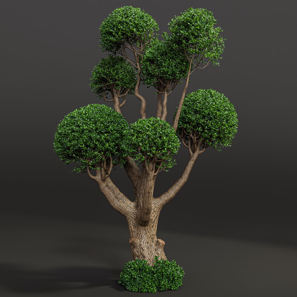 Tree with 4 LOD and PROXY | 3D Tree models | BlenderKit