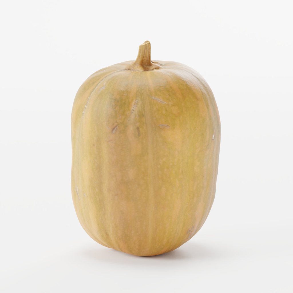 Squash | Fruit & Vegetables models | BlenderKit