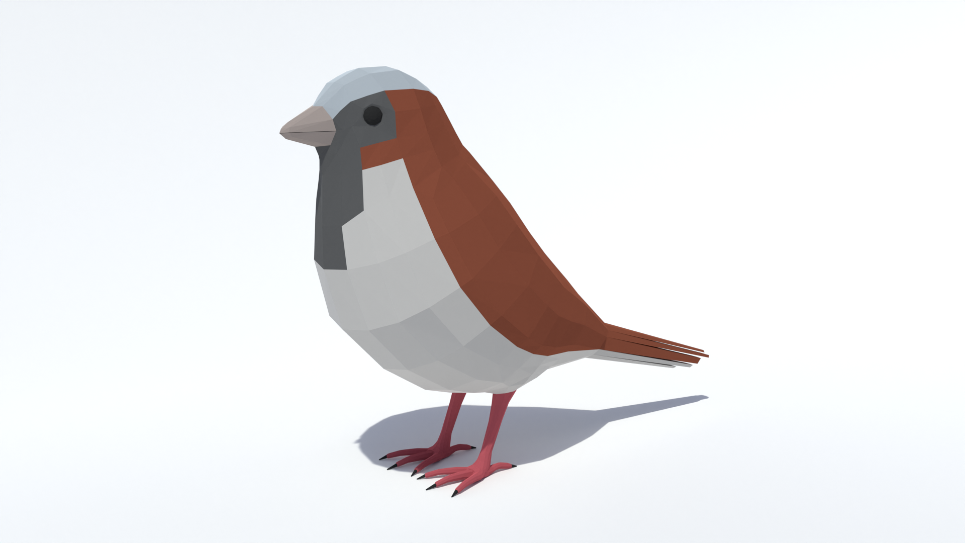 Low Poly Sparrow | Birds models | BlenderKit