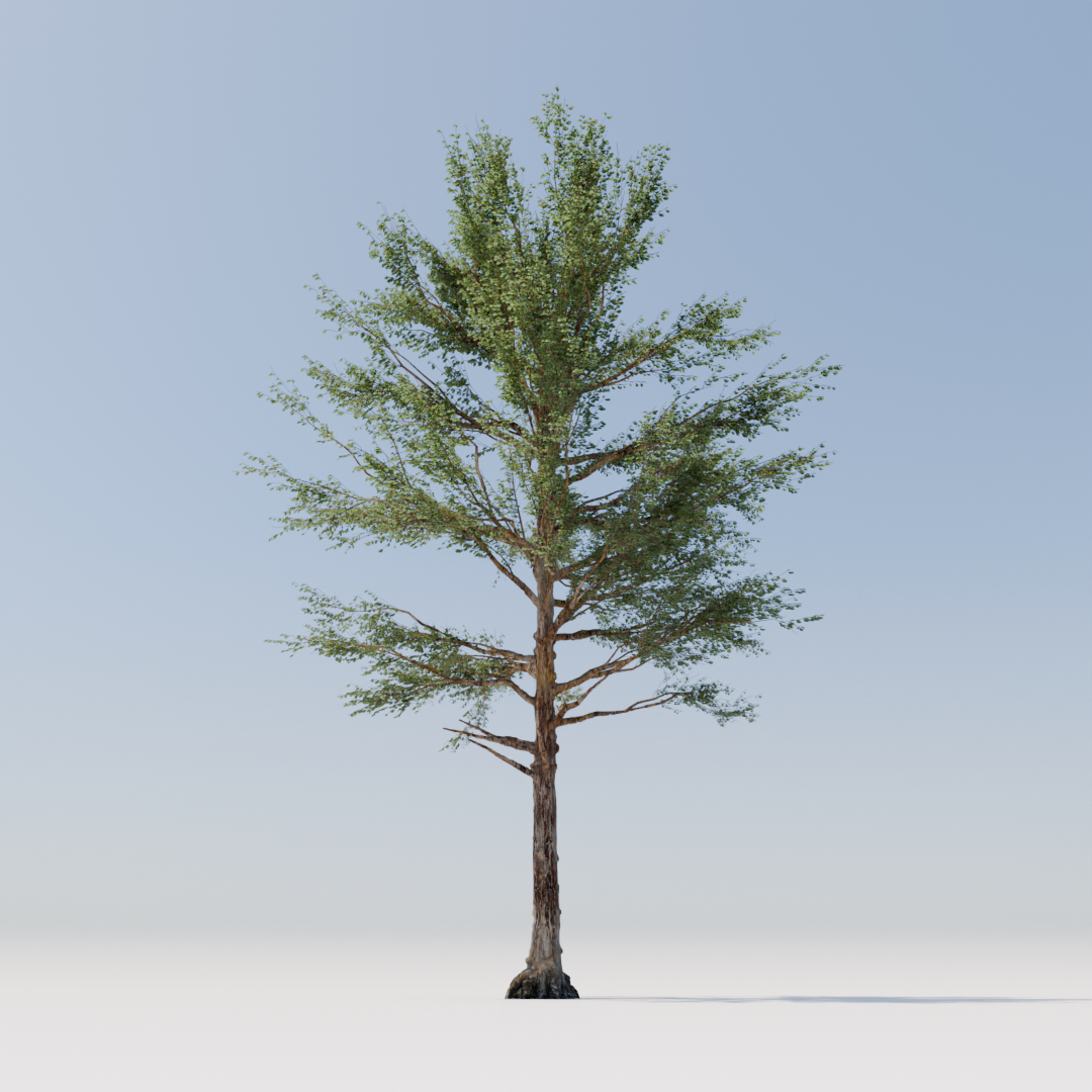 Tree 30 | Trees models | BlenderKit