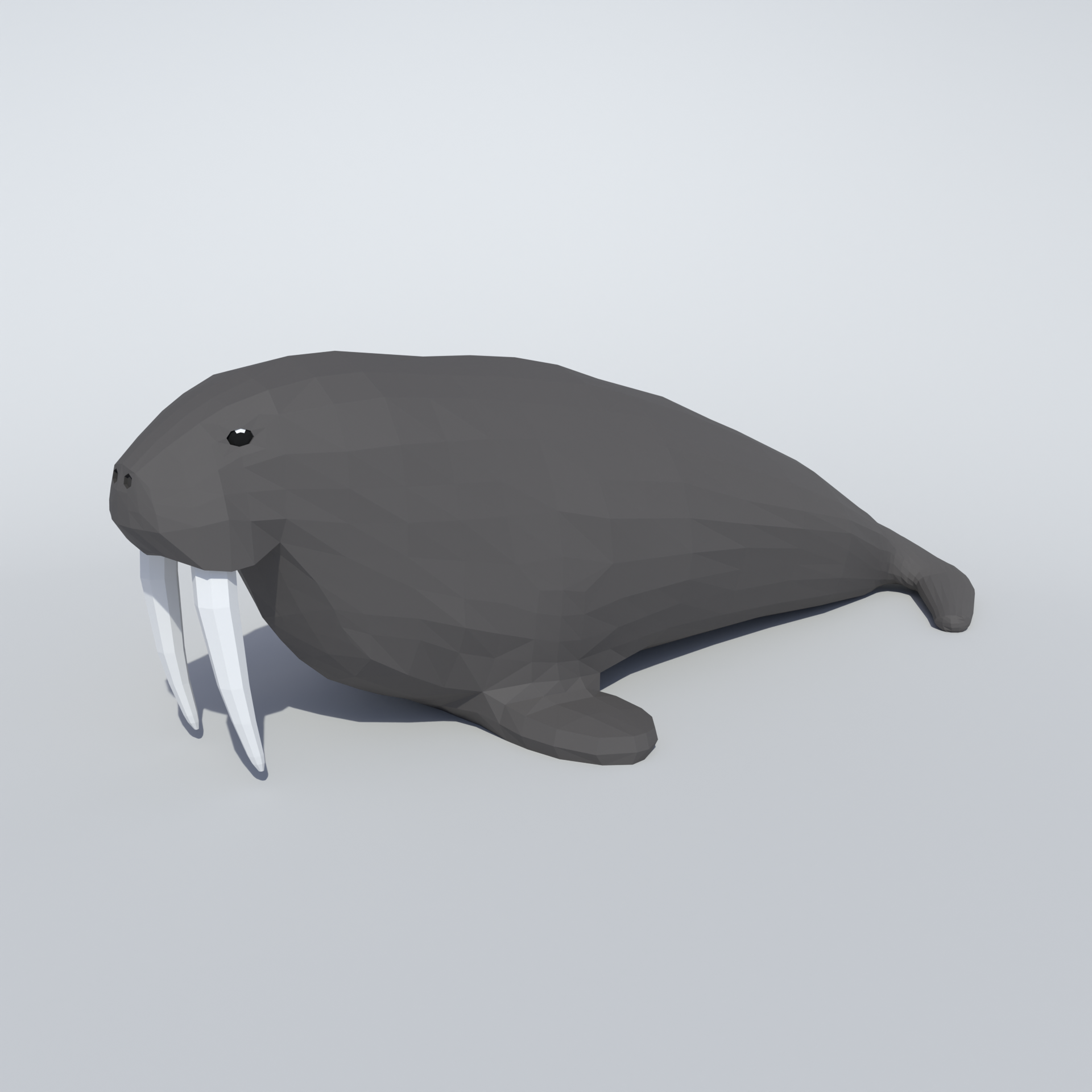 Low Poly Walrus | Mammals models | BlenderKit