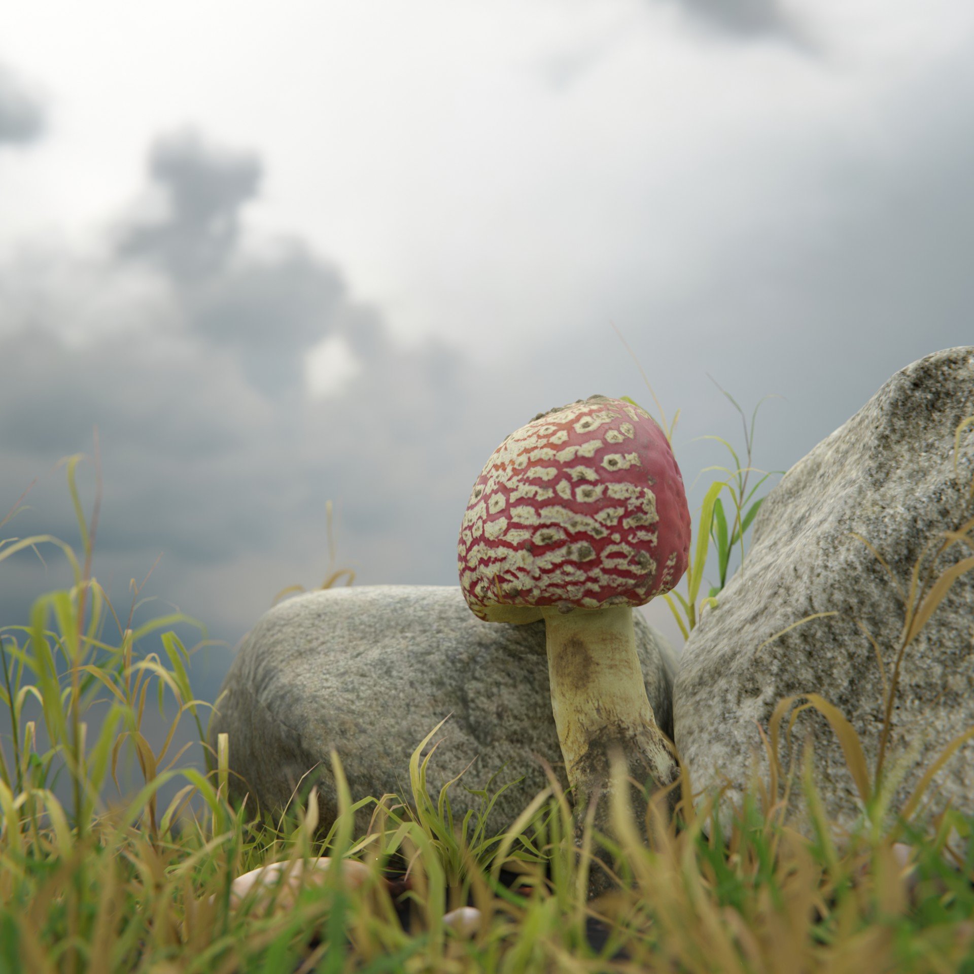 Toadstool | Renders | BlenderKit
