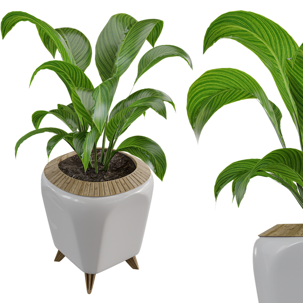 Flower box | Bouquets models | BlenderKit