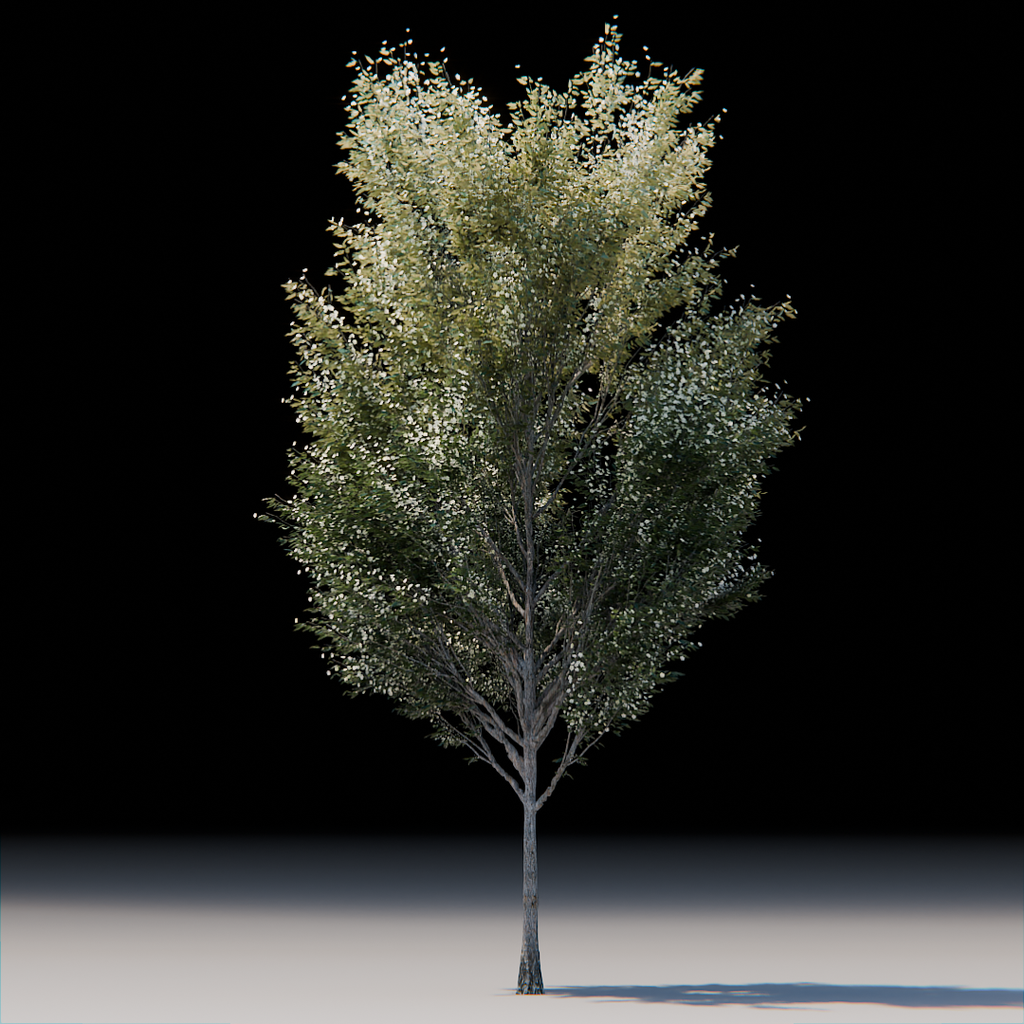 Tree styrak | Trees models | BlenderKit