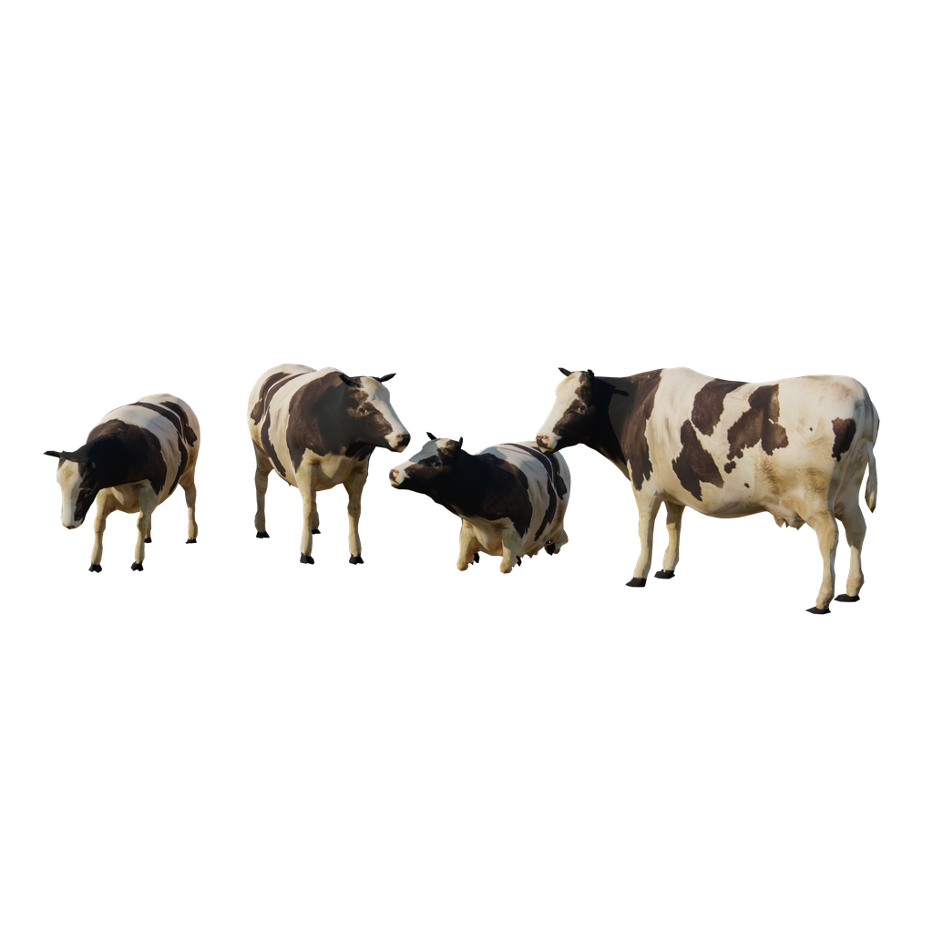 Low poly cows for background | FREE Mammals models | BlenderKit