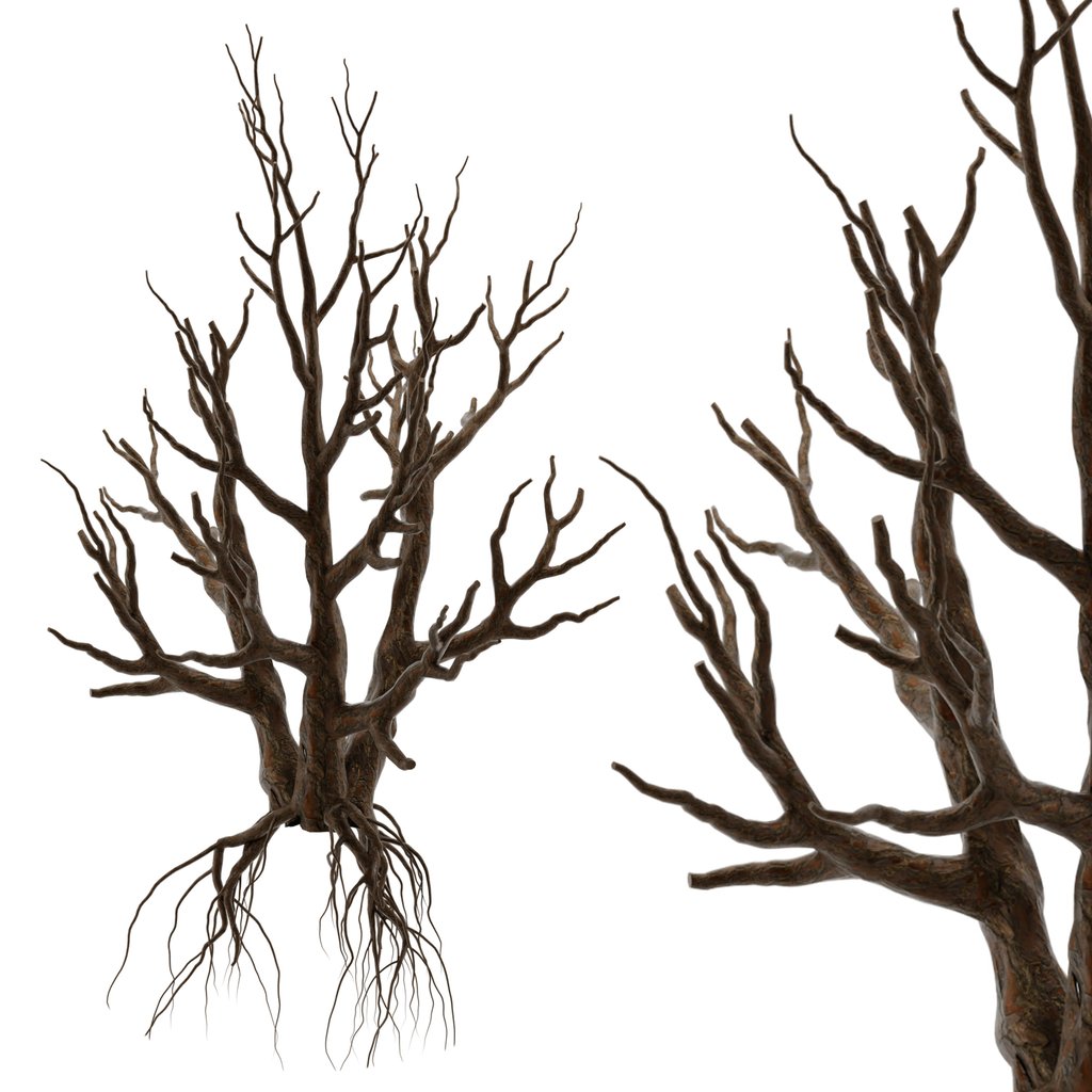 Dry tree c | Trees models | BlenderKit