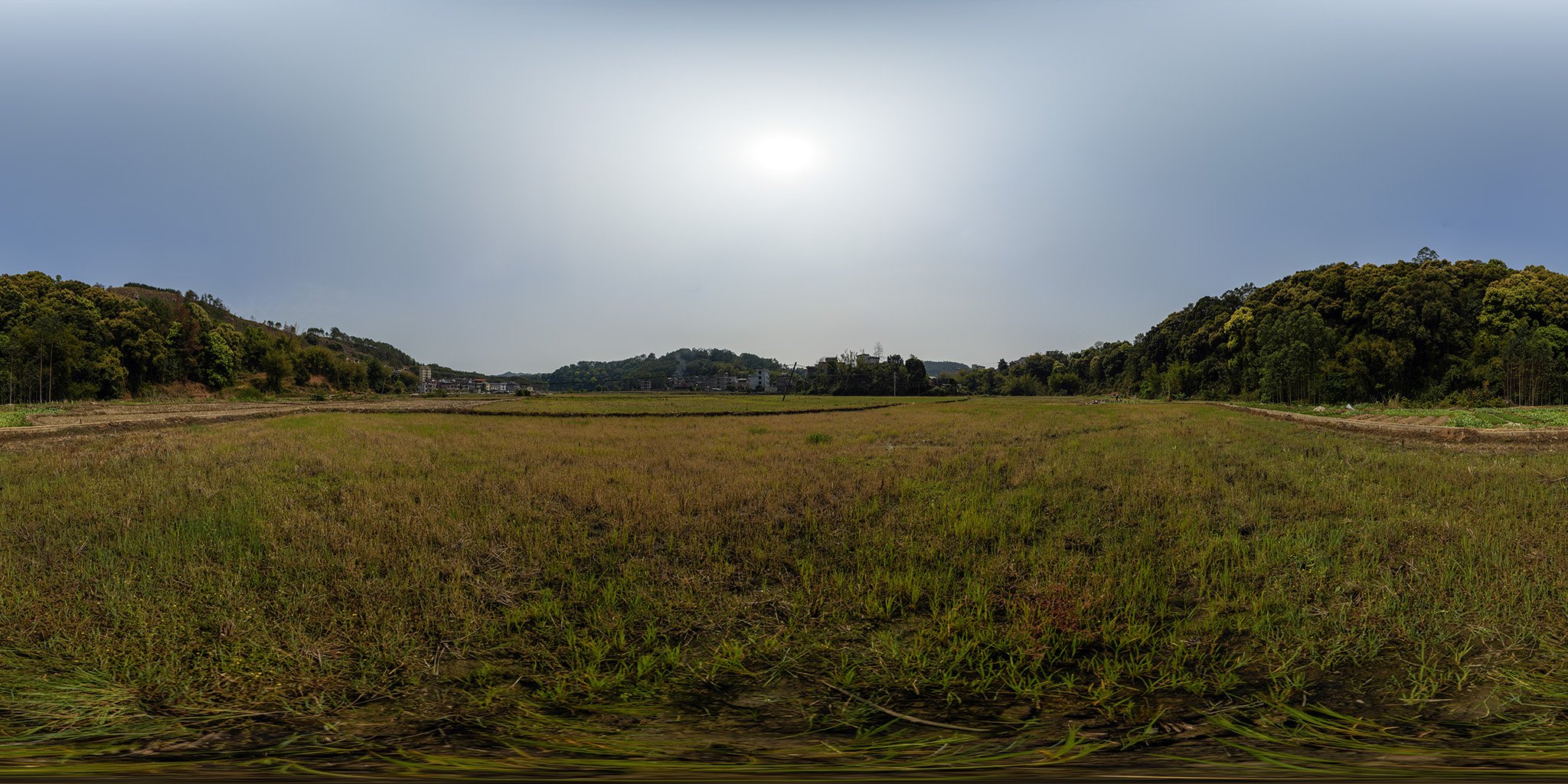 Green grass in the morning | Nature HDRis | BlenderKit