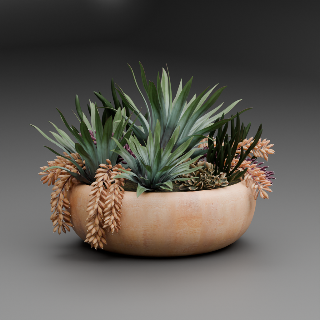 Succulent Bowl Planter | Indoor Plants models | BlenderKit