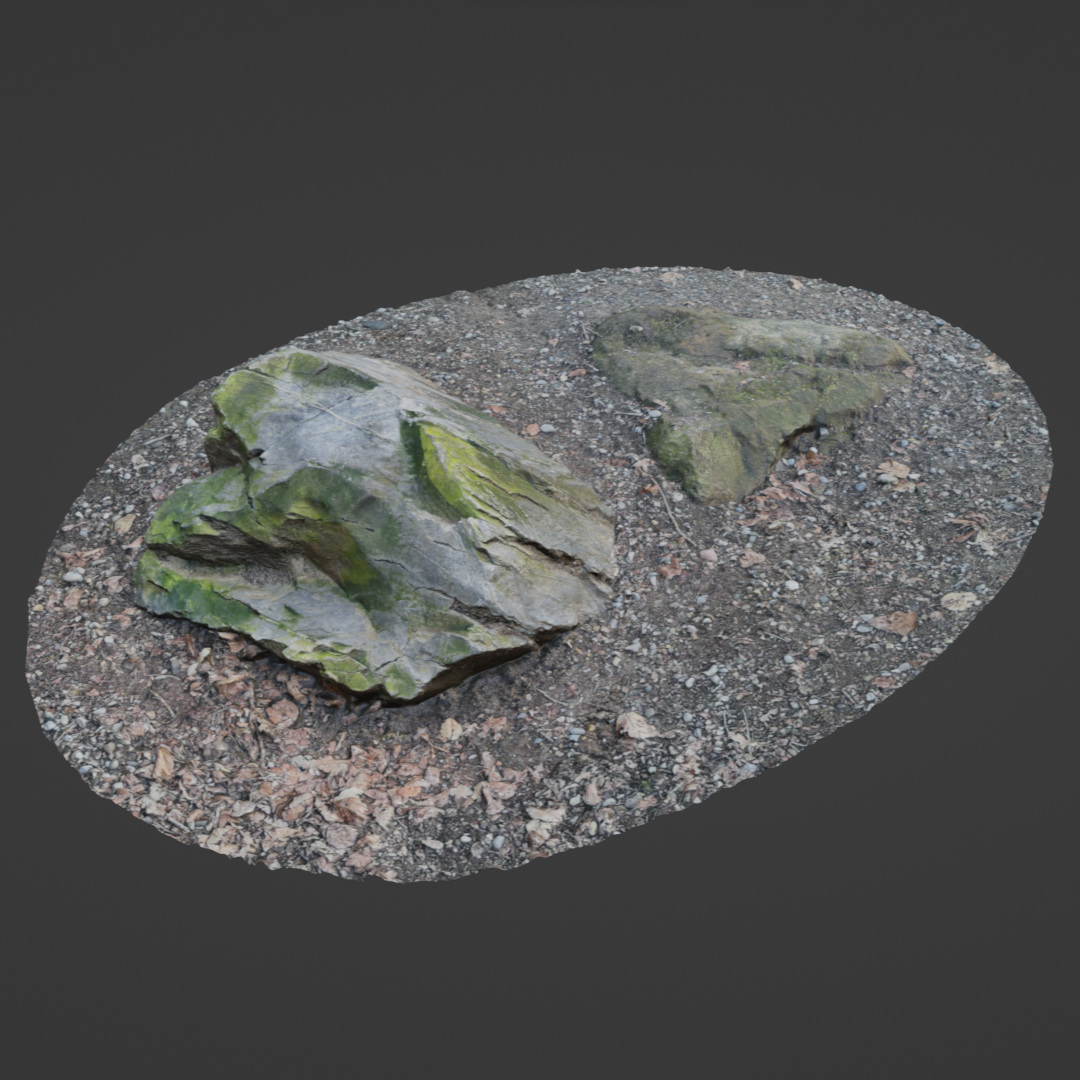Rocks in Ground (Photoscanned) | FREE Environment Elements models ...