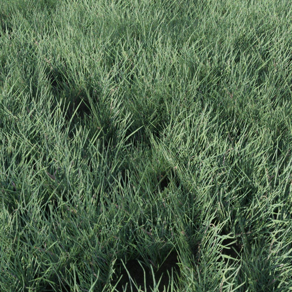 Grass Small Cluster | Grass models | BlenderKit