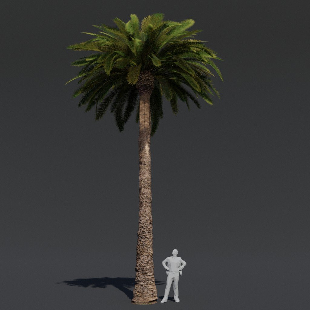 Tree Date Palm a1 | Trees models | BlenderKit