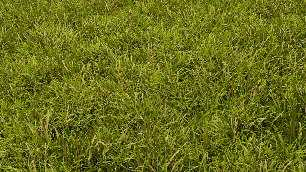 Animated Grass | Nature scenes | BlenderKit