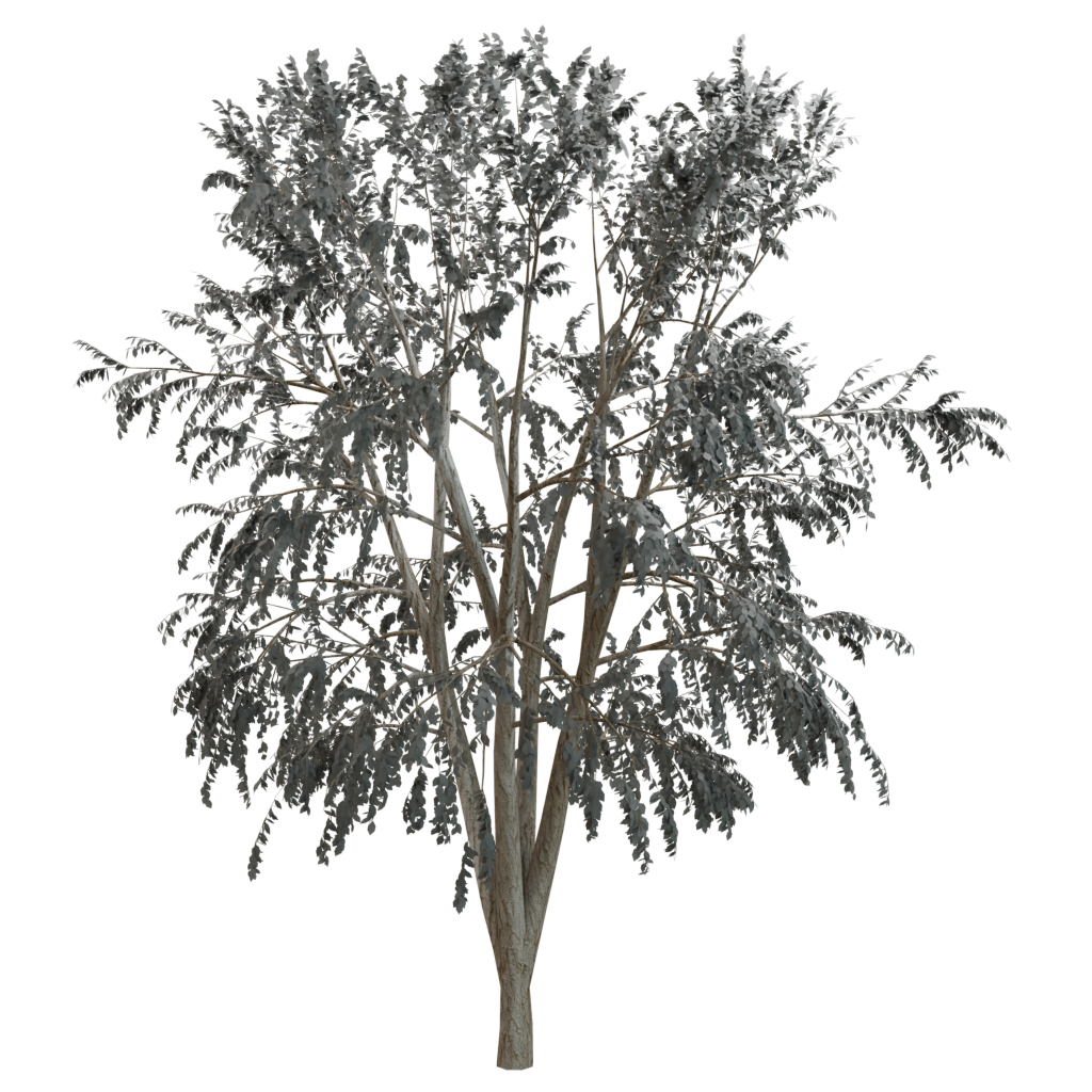 Tree | Trees models | BlenderKit