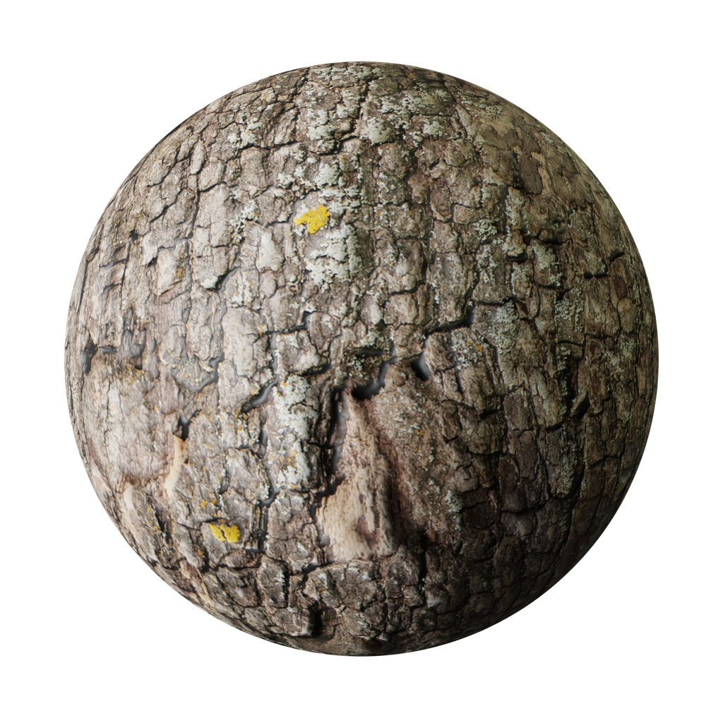 Aged Tree Bark Material | FREE wood materials | BlenderKit
