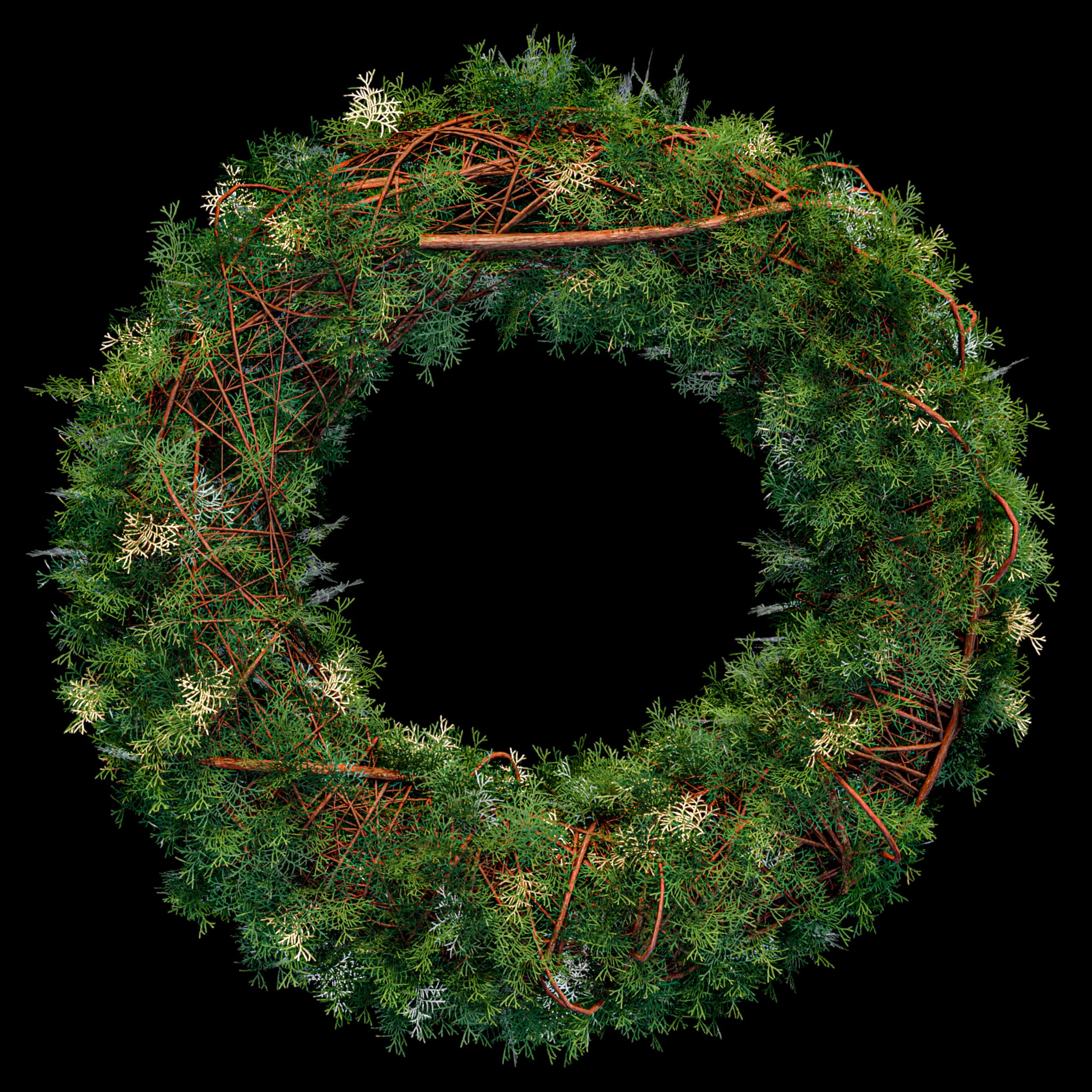 Torus shape plant | Nature models | BlenderKit