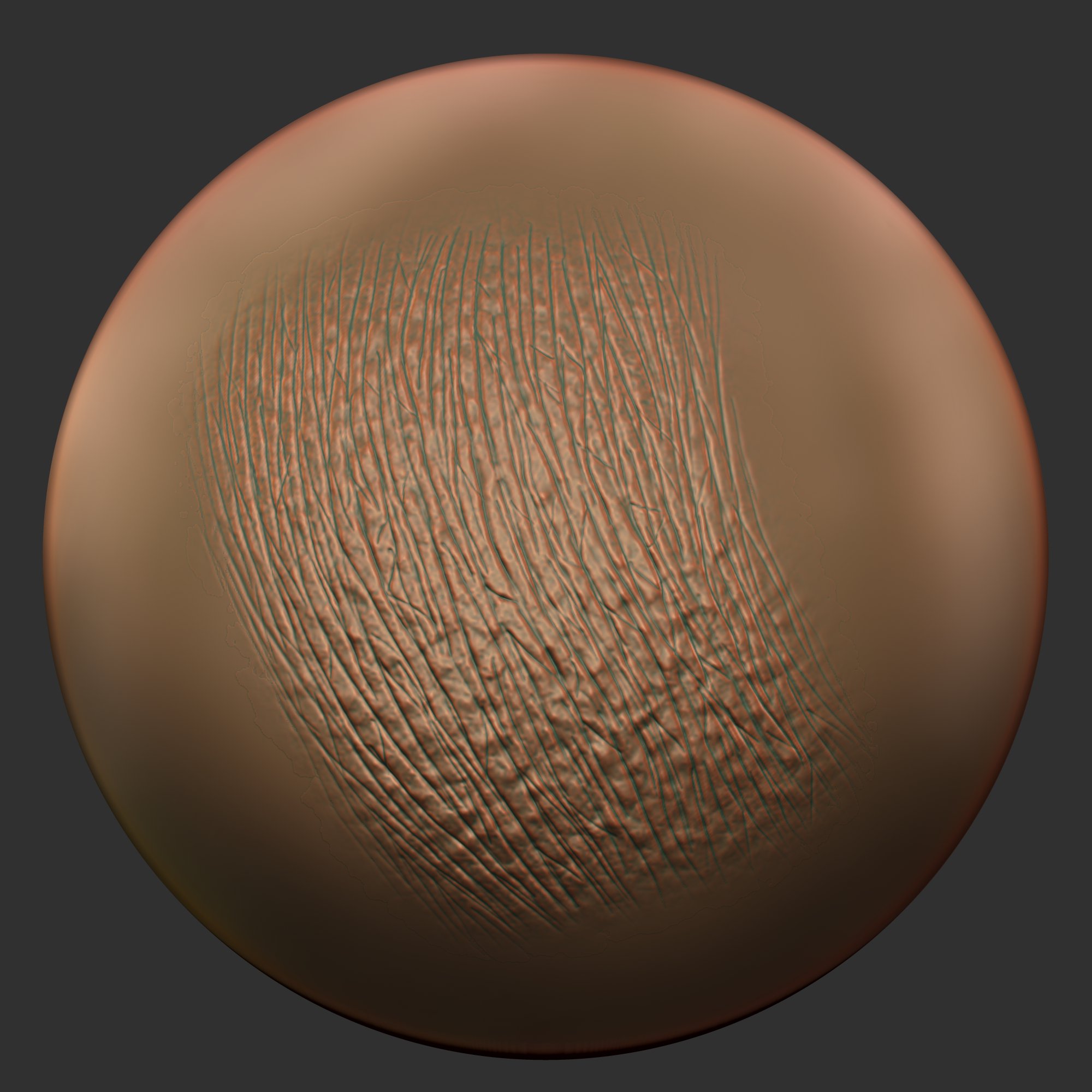 ER Human Skin(R) 82 | Human Skin brushes | BlenderKit
