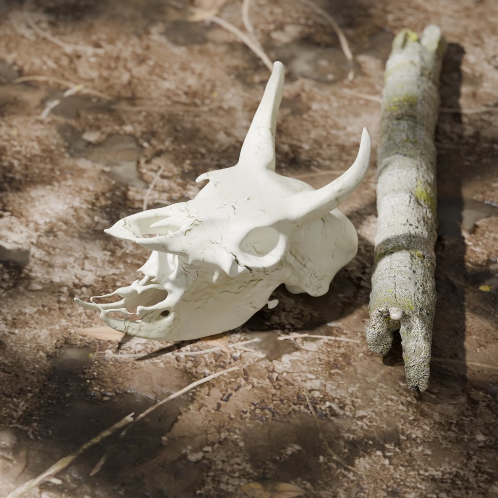 Forest Skull Scene | Historical scenes | BlenderKit