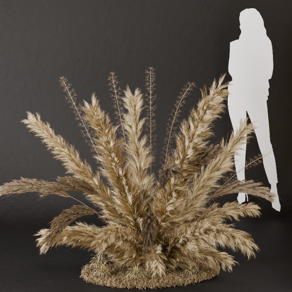 SJ- Pampas Boho Style Bush | Outdoor Plants models | BlenderKit