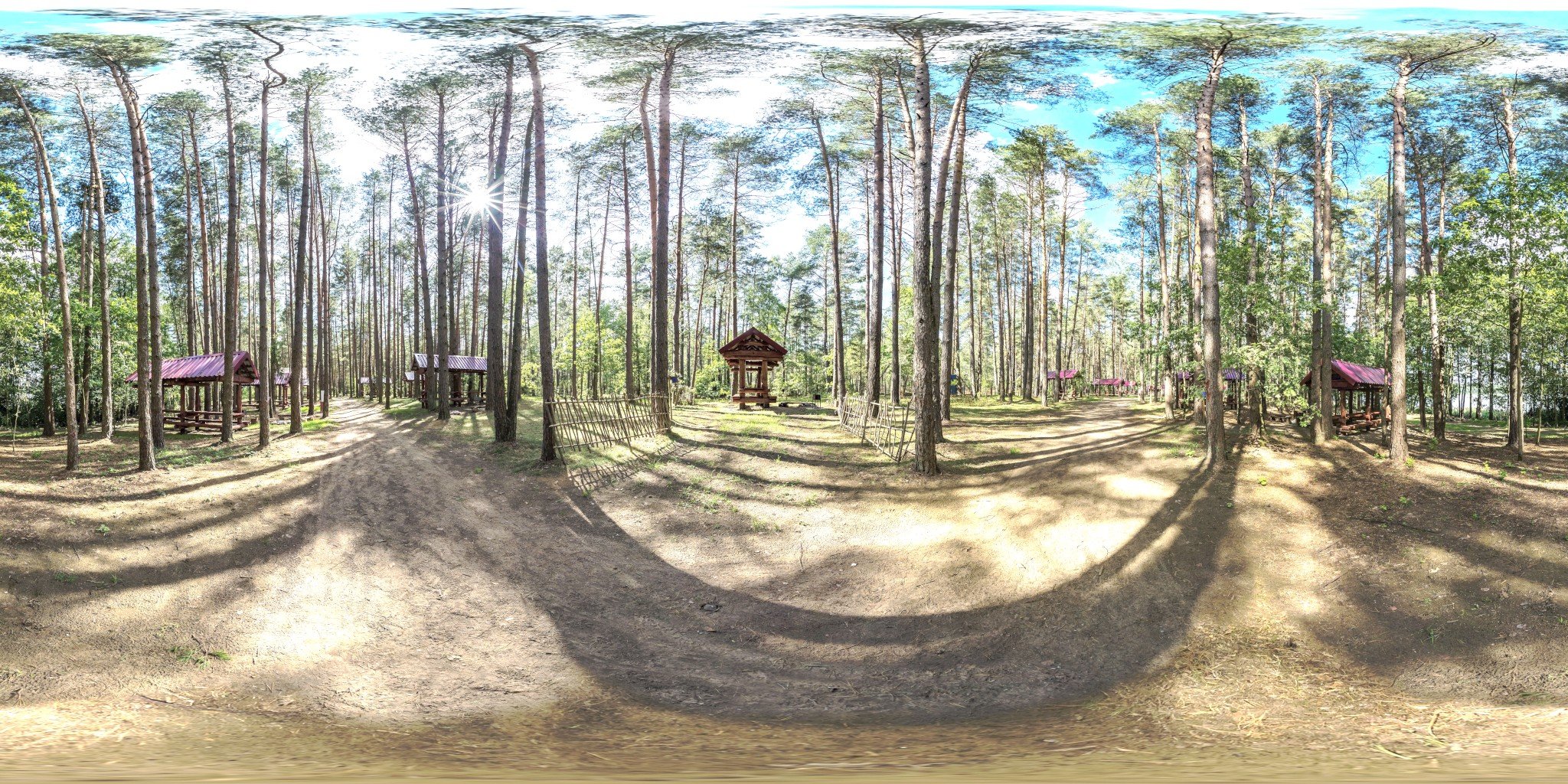 Woods in the mountains | FREE 3D Nature HDRs | BlenderKit