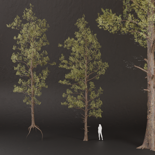 SJ-Golden Pine Sentinel | Trees models | BlenderKit