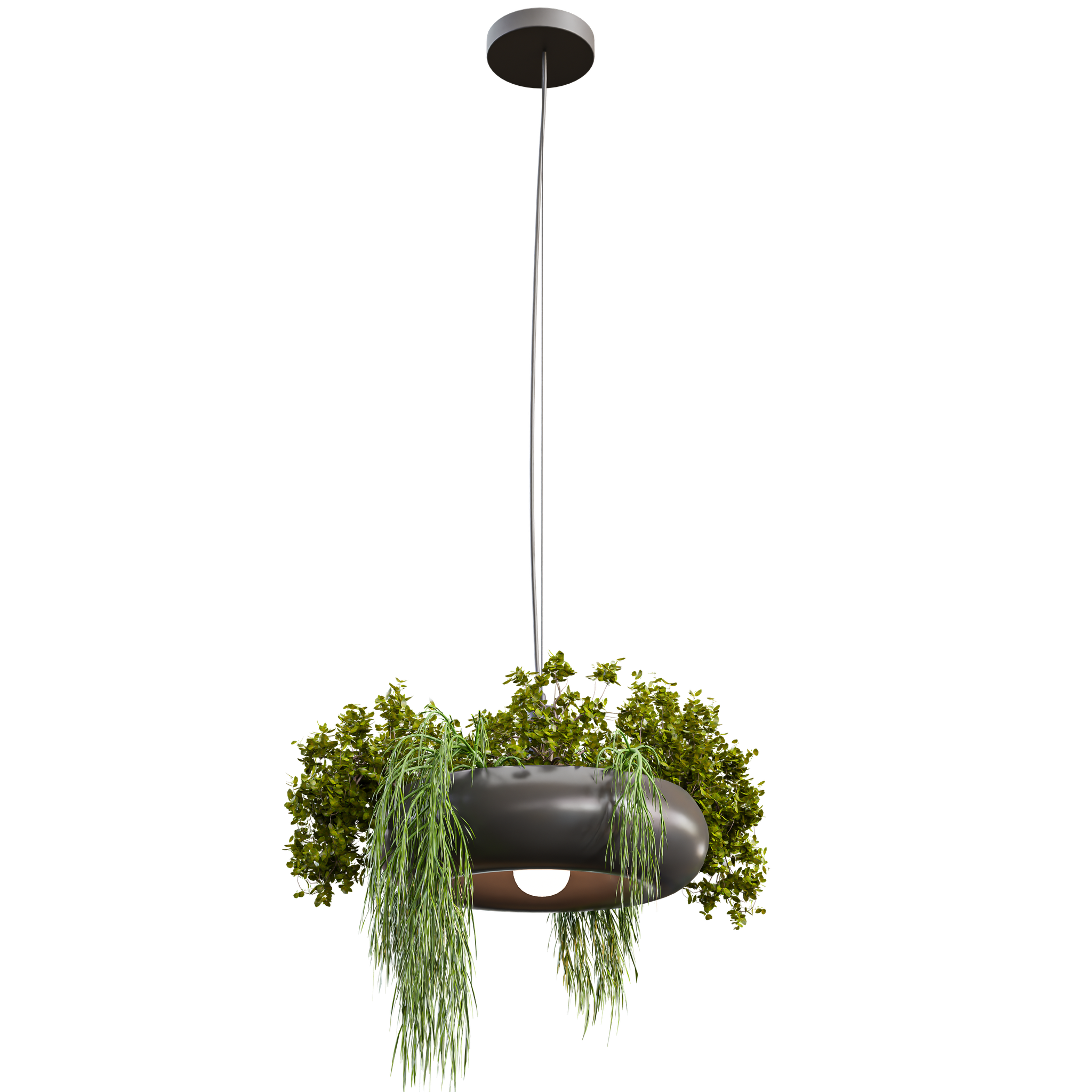 Pendant light with plants b | Ceiling Lights models | BlenderKit