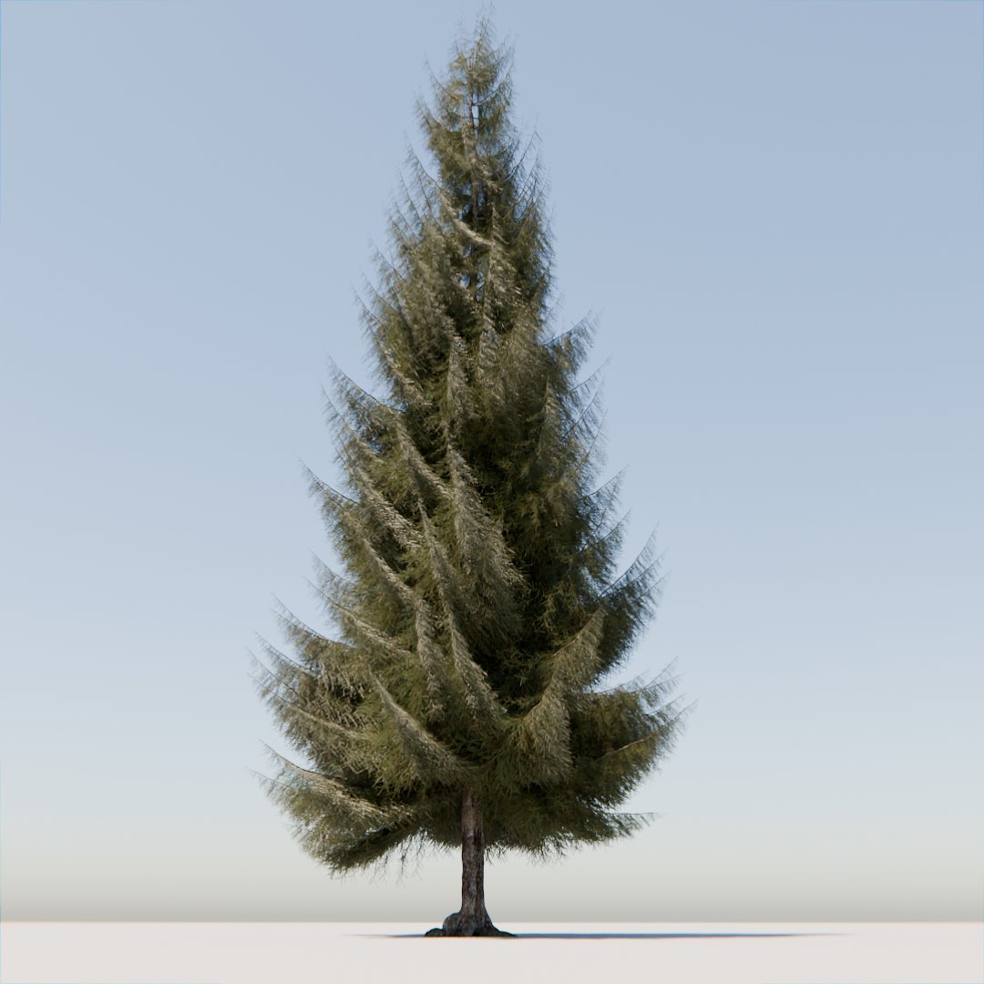 Coniferous Tree 07 | Trees models | BlenderKit