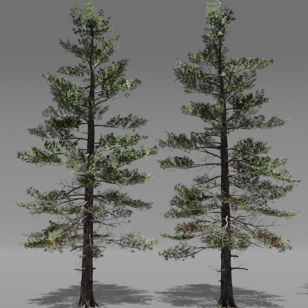 Cut log 04 - remeshed photoscan | FREE 3D Tree models | BlenderKit