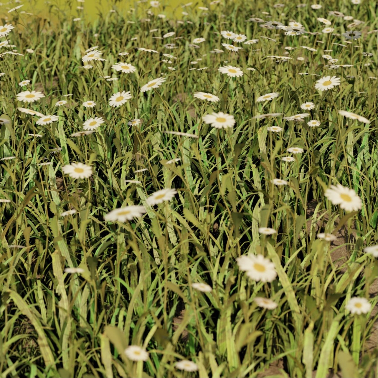 Grass with marguerite - particle sytem | FREE Grass models | BlenderKit