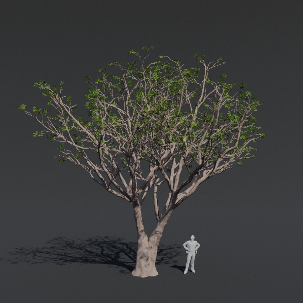 Cut log 04 - remeshed photoscan | FREE Trees models | BlenderKit
