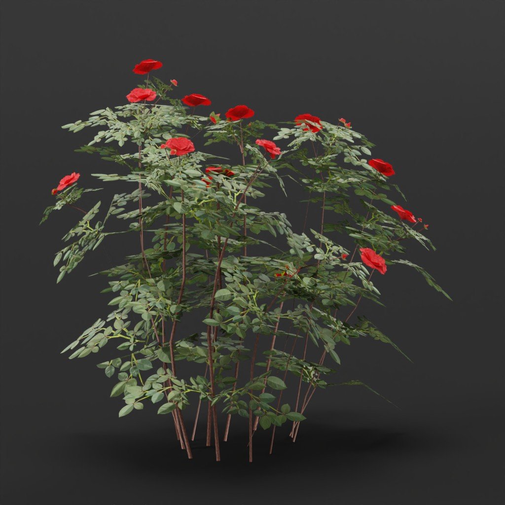 Flower Rose Medium Variation | Outdoor Plants models | BlenderKit