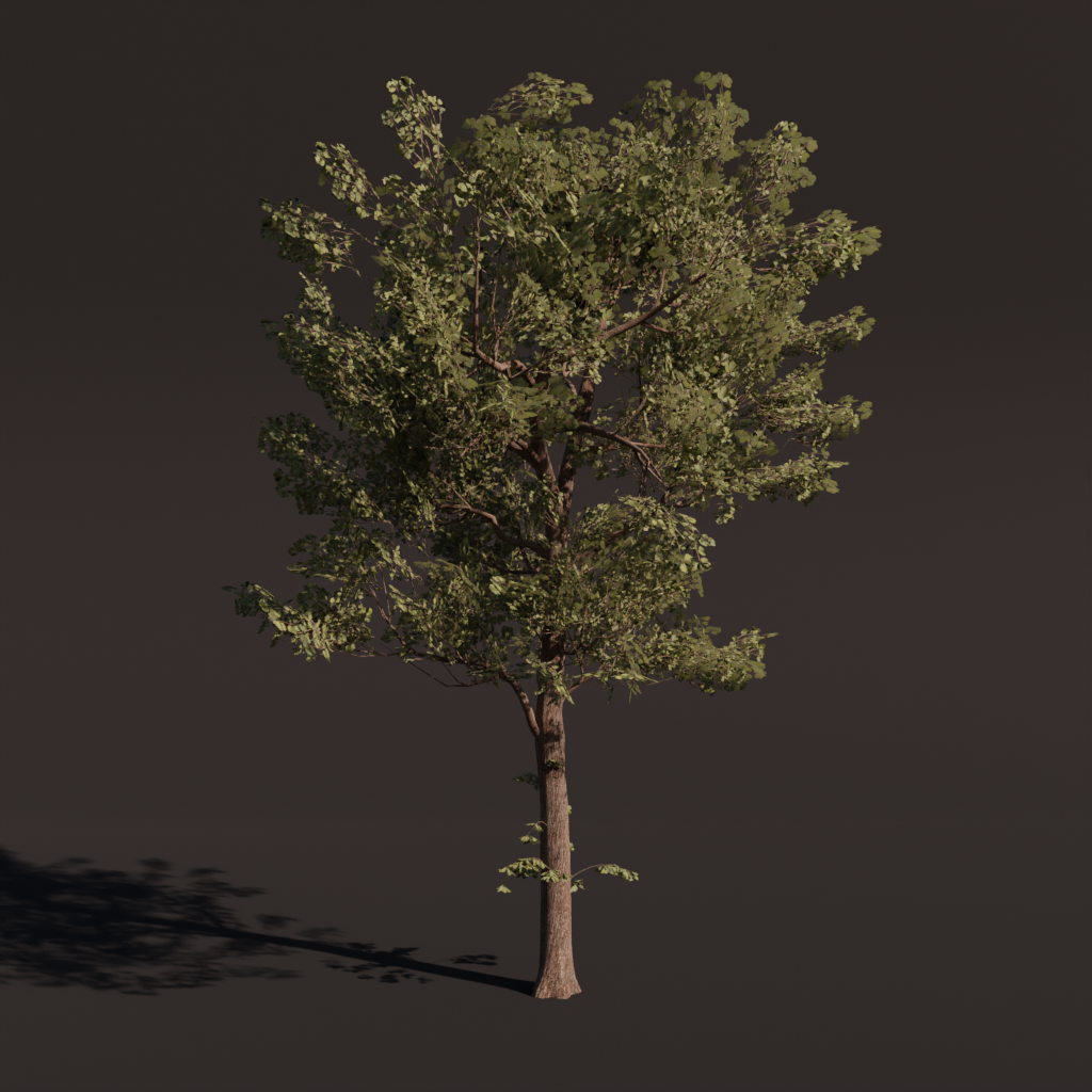 Tree Alder a6 Large | Trees models | BlenderKit