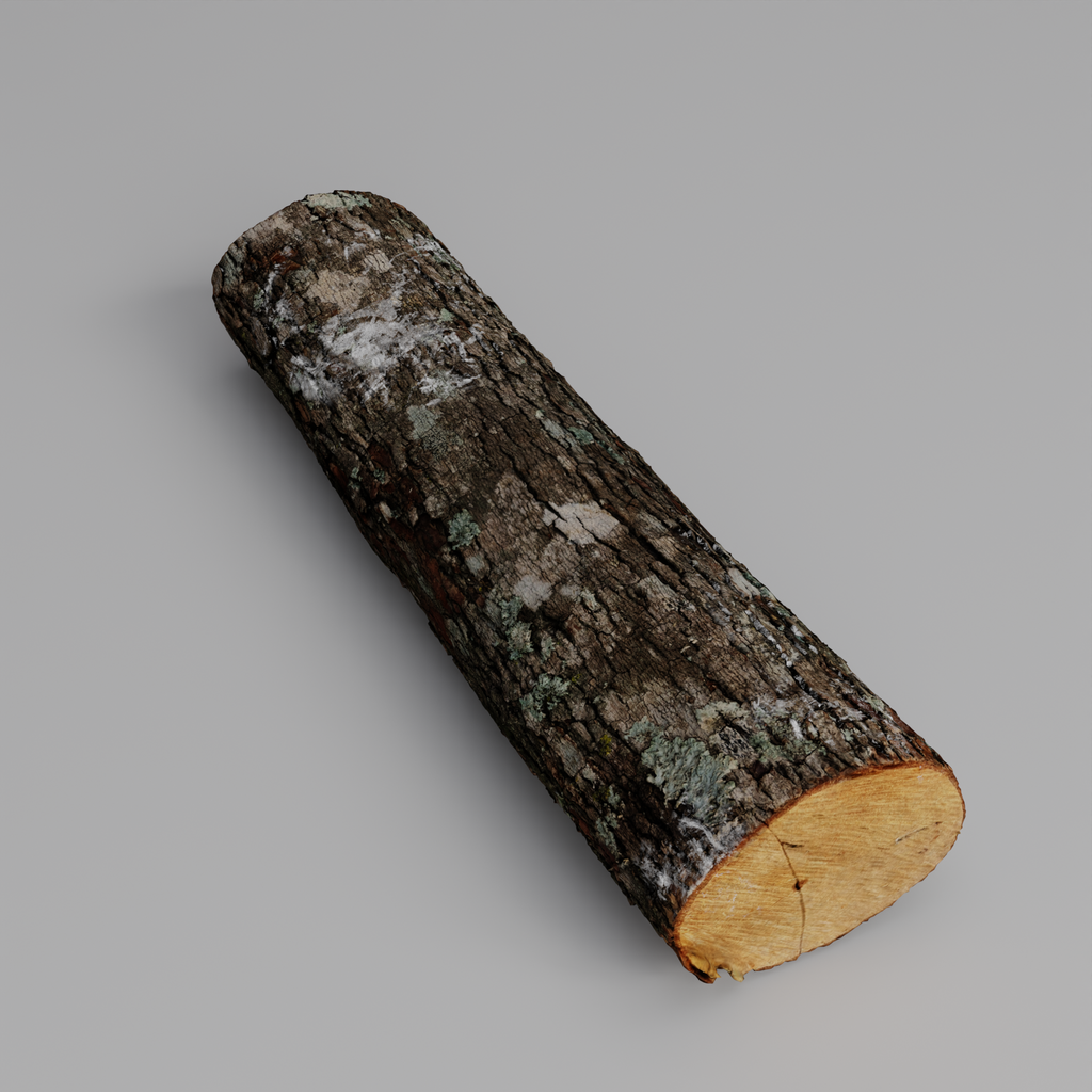 Wooden log | Trees models | BlenderKit