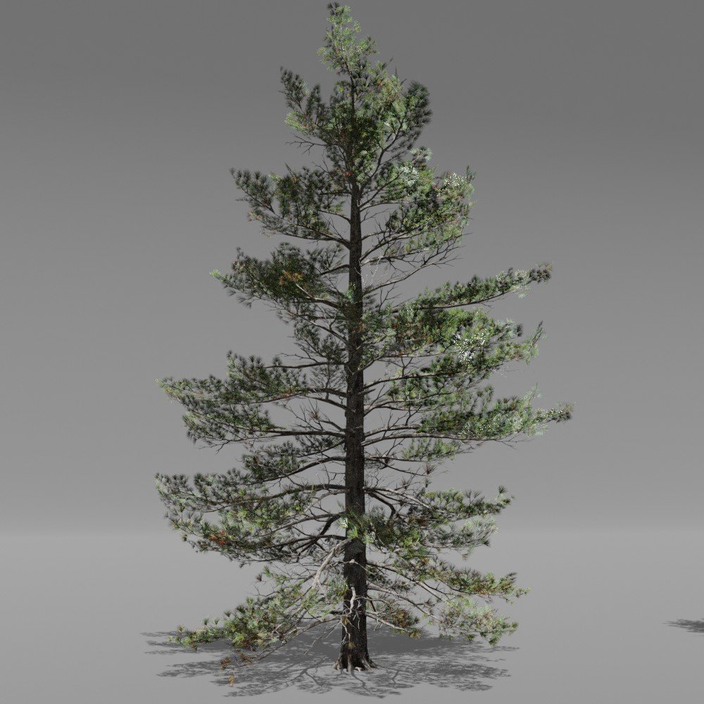 Cut log 04 - remeshed photoscan | FREE Trees models | BlenderKit