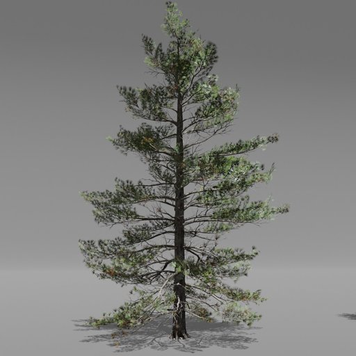Cut log 04 - remeshed photoscan | FREE Trees models | BlenderKit