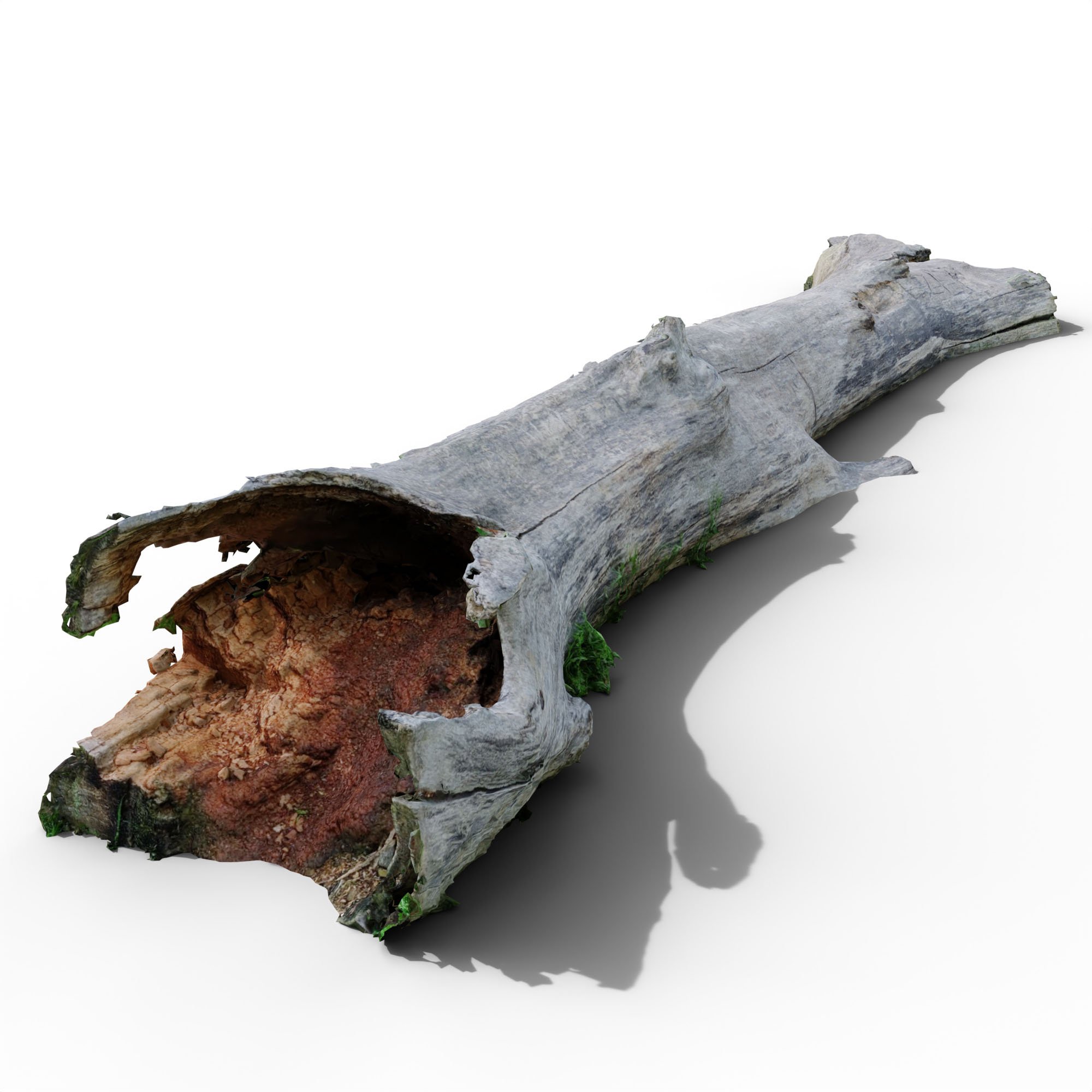 Decaying tree trunk on the ground | FREE Environment Elements models ...