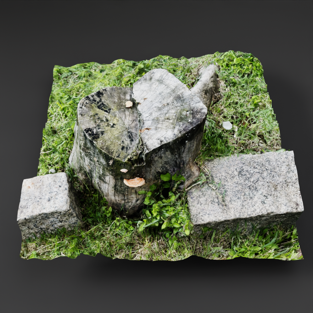 Cut Tree Stump | FREE Trees models | BlenderKit