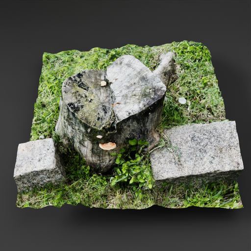 Cut Tree Stump | FREE Trees models | BlenderKit