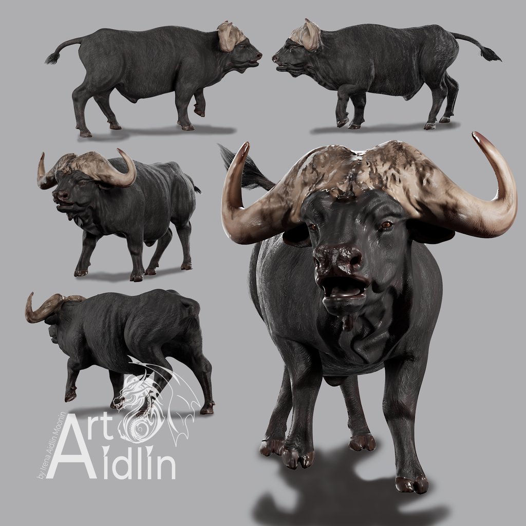 BlenderKit | Download the FREE African Buffalo. Bull. Cattle. Cow. model